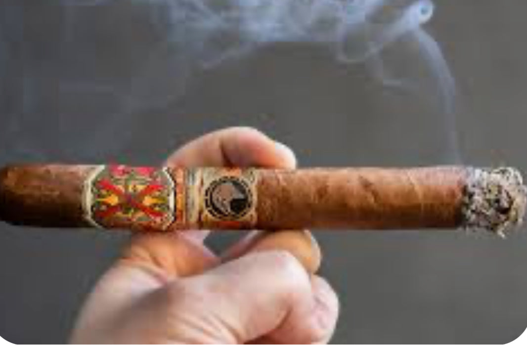 City Of Cigar Buy Opus Cigar Rare Cigar The Best Cigar Lounge Florida